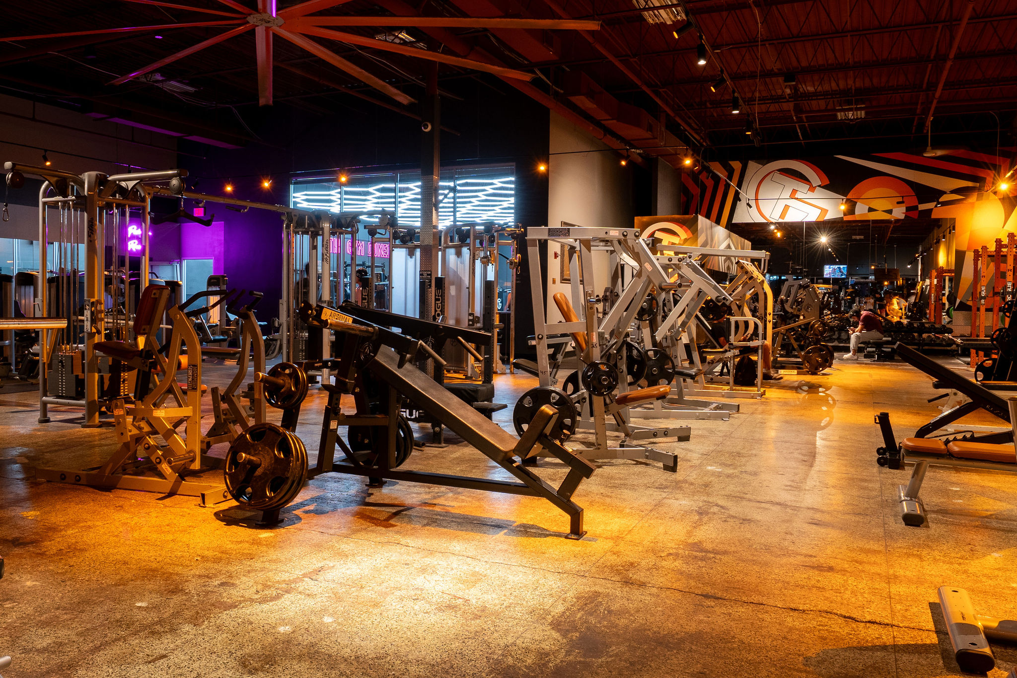 TG THE GYM in Dunedin, FL | TG THE GYM